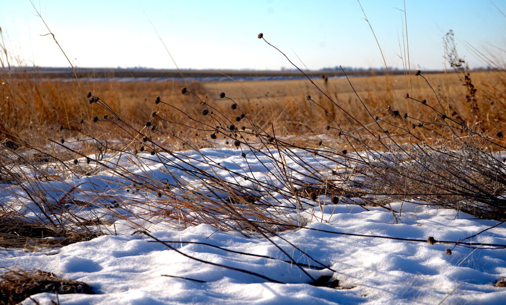 ‘It was just a perfect day’ | News, Sports, Jobs - North Tama Telegraph